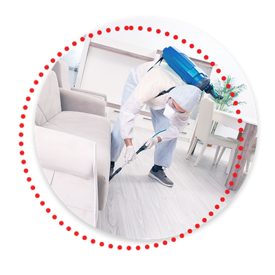 Home Pest Control - Atlanta's Best Pest Control - Clever Solutions Pest ...